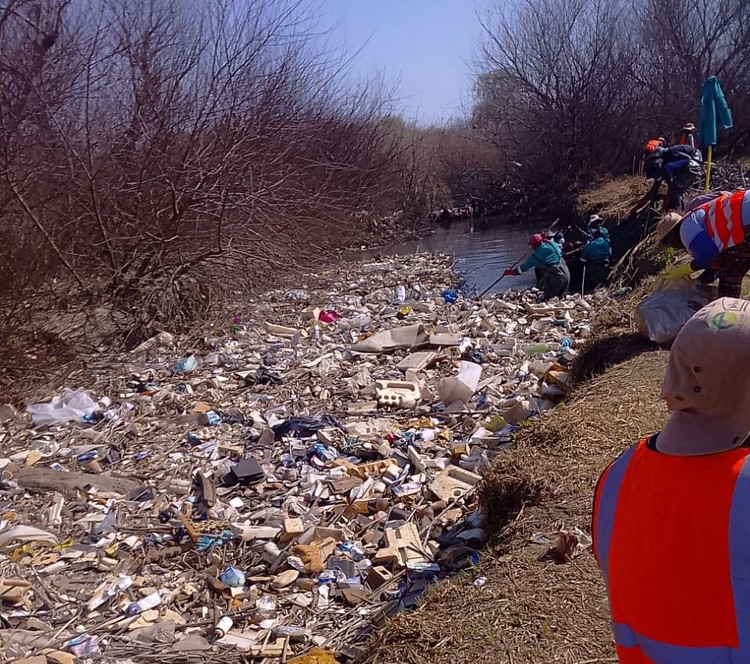 Communities join scientist to clean up filthy Joburg river | GroundUp