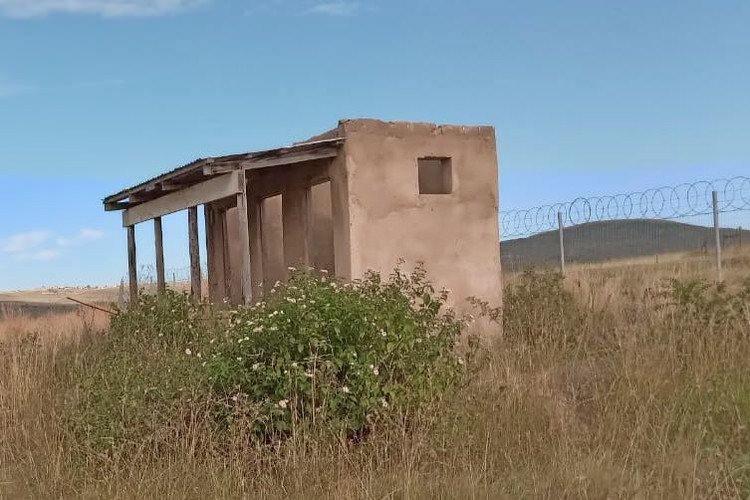 Children have to use an open field as a toilet at Mthatha primary ...