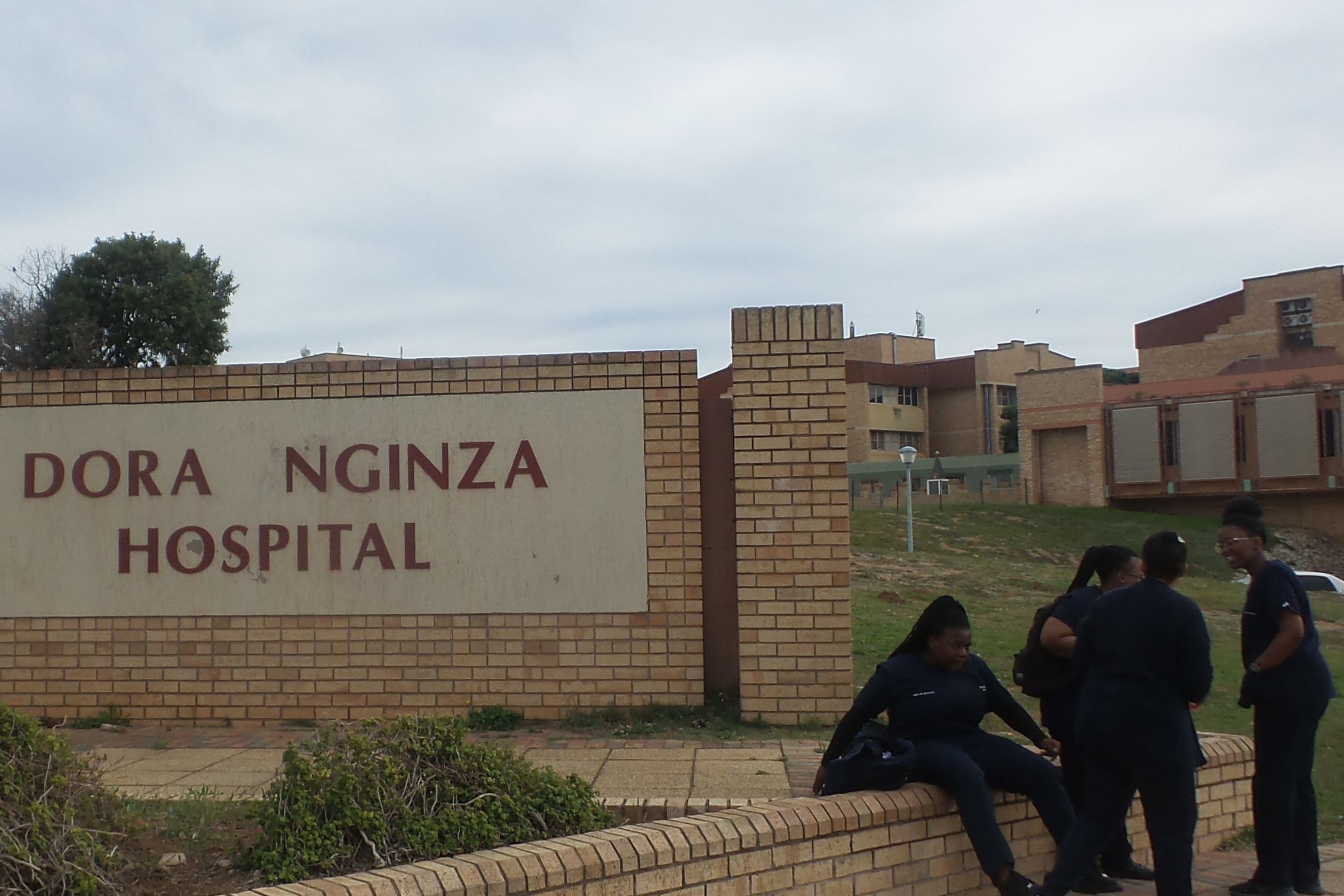 Maternity wards at Dora Nginza Hospital “chaotic” as nurses down tools ...