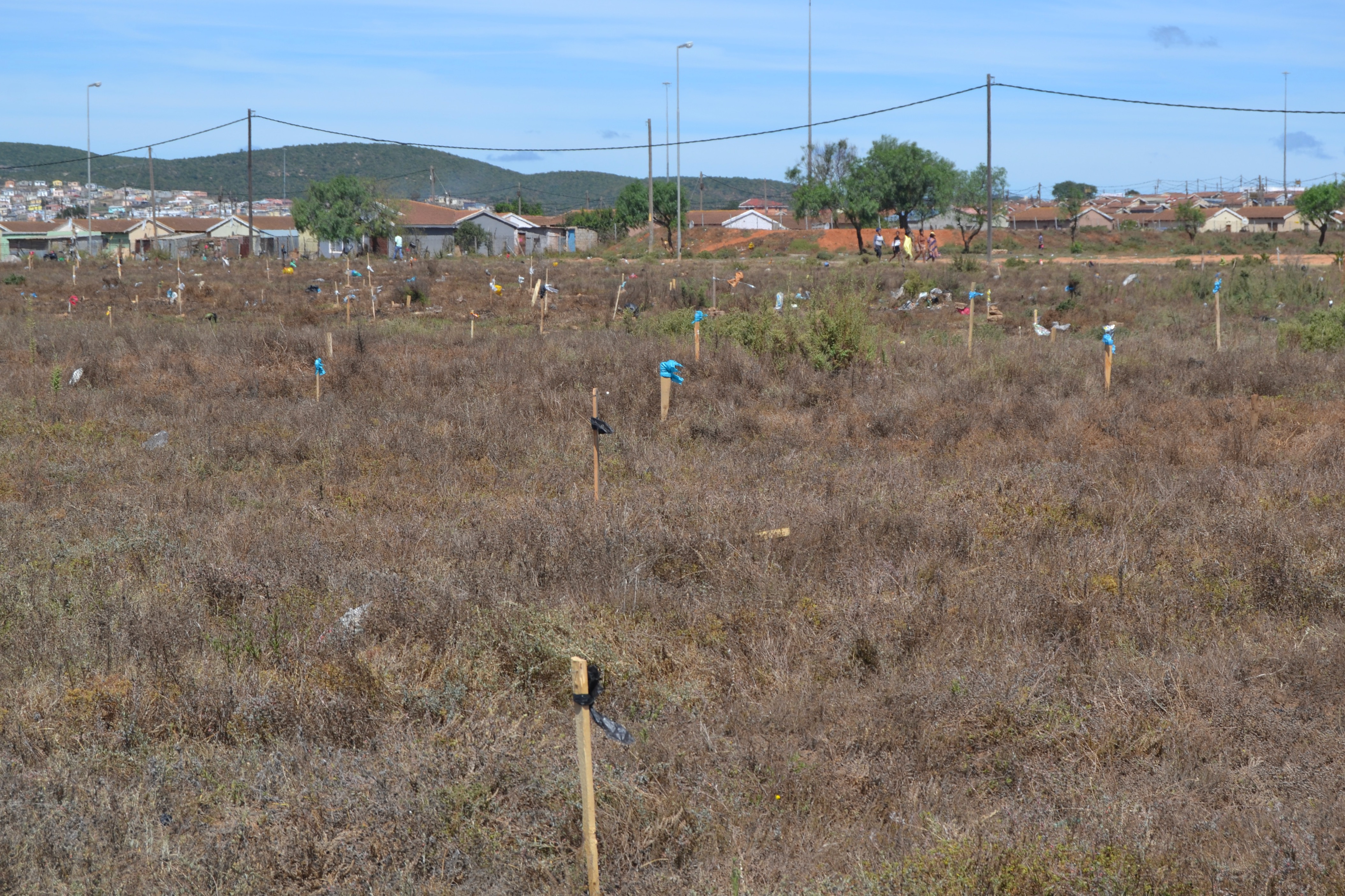 Hundreds of people stake out plots for houses on empty land in Nelson ...